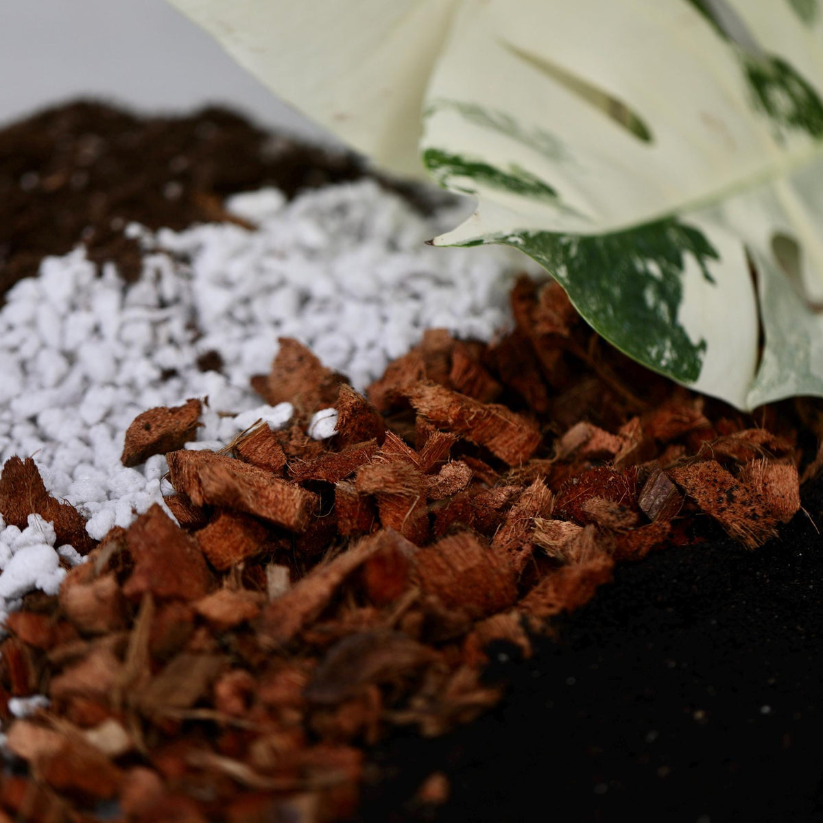 Chunky Potting Soil Mix - Houseplant Soil Mix - Best Indoor Potting So ...